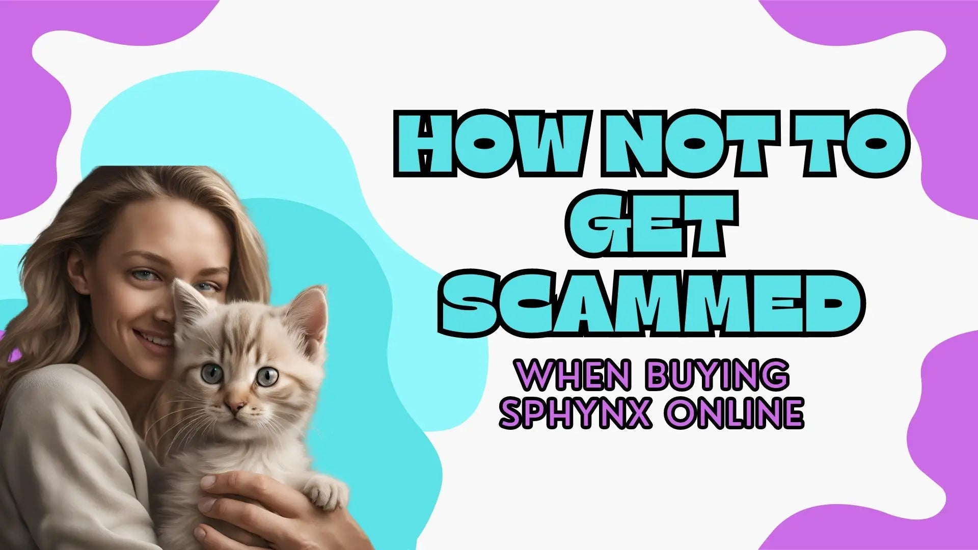 Avoid Sphynx Cat Scams: Buy Trusted Online Safely