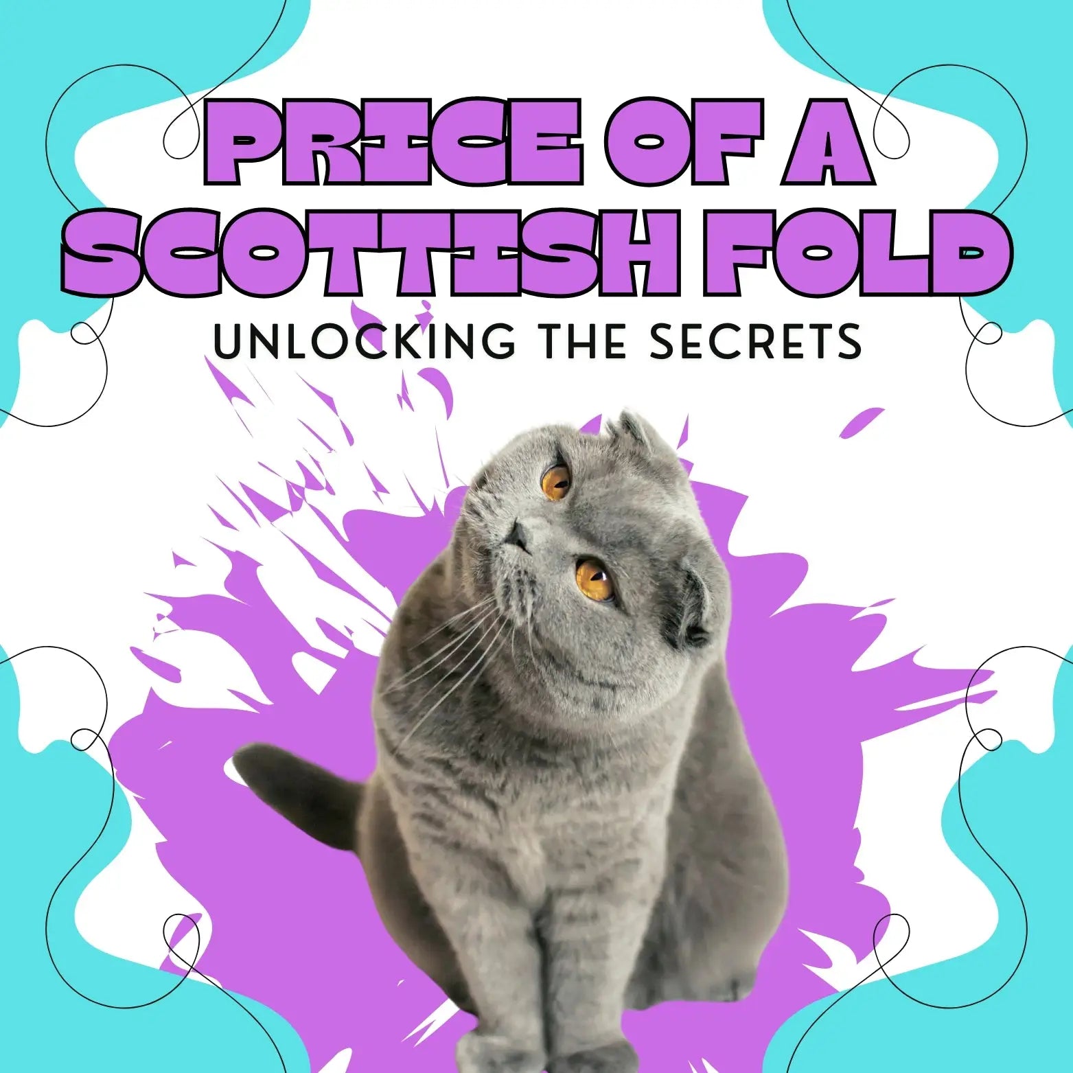 Scottish Fold Price Revealed: Secrets Unleashed!